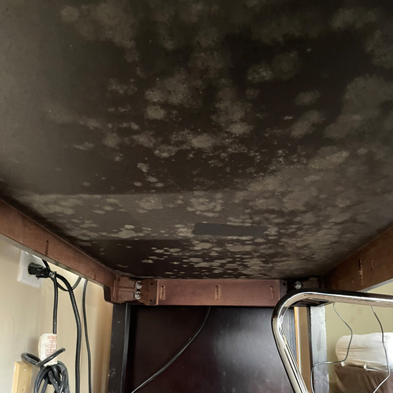 Mold & Mildew in Hotels - Hospitality Orlando, Fl. – claroshield